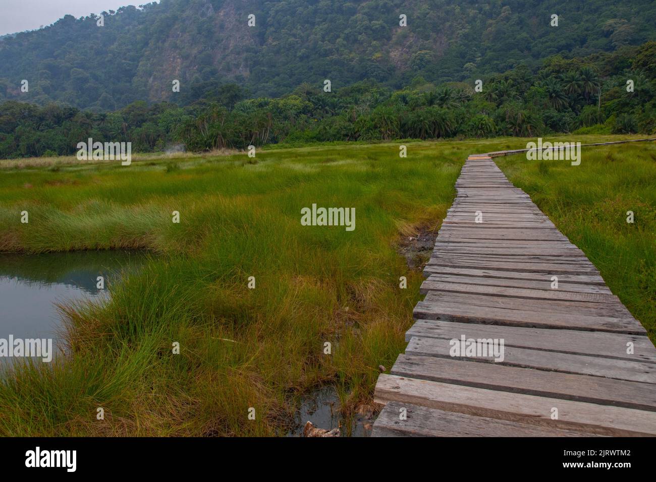 Sempaya Hot Springs are the most outstanding attractions in Semiliki ...