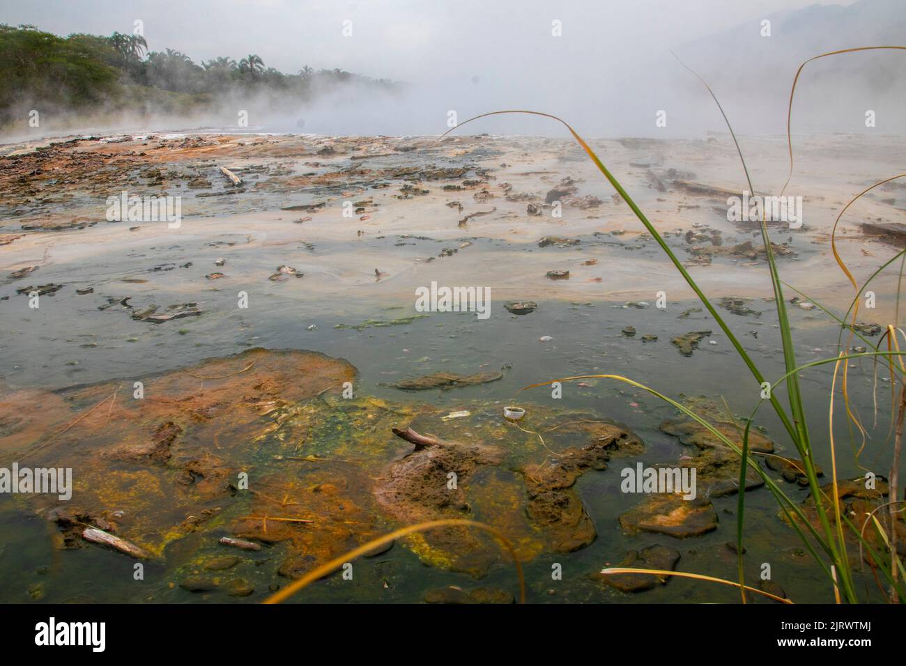Sempaya Hot Springs are the most outstanding attractions in Semiliki ...