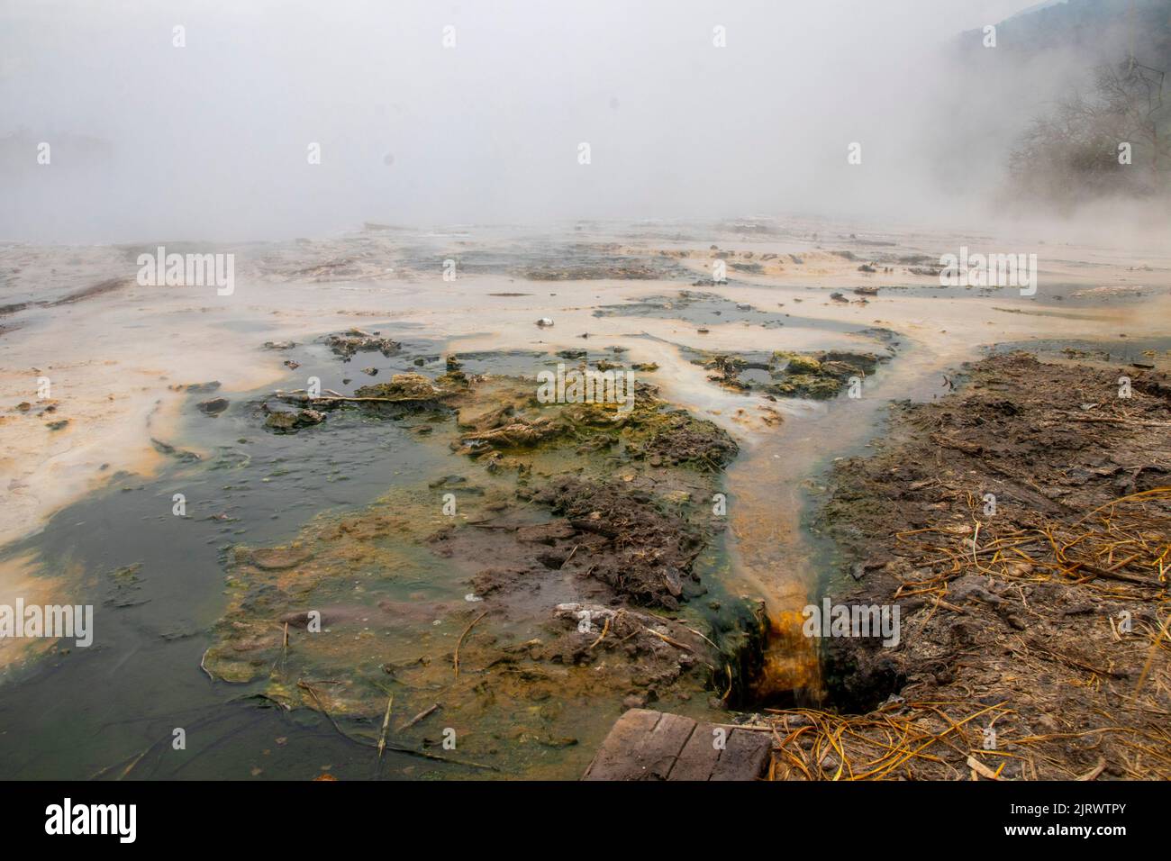 Sempaya Hot Springs are the most outstanding attractions in Semiliki ...