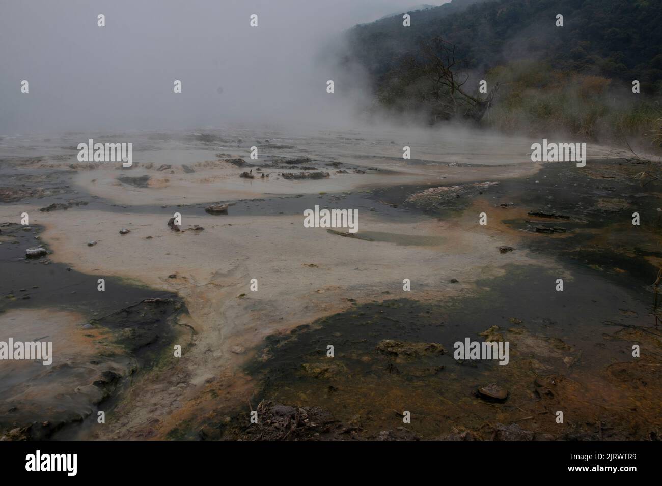 Sempaya Hot Springs are the most outstanding attractions in Semiliki ...