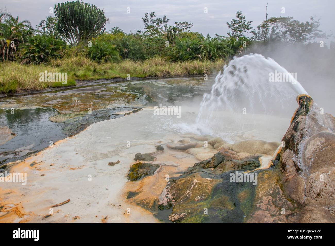 Sempaya Hot Springs are the most outstanding attractions in Semiliki ...