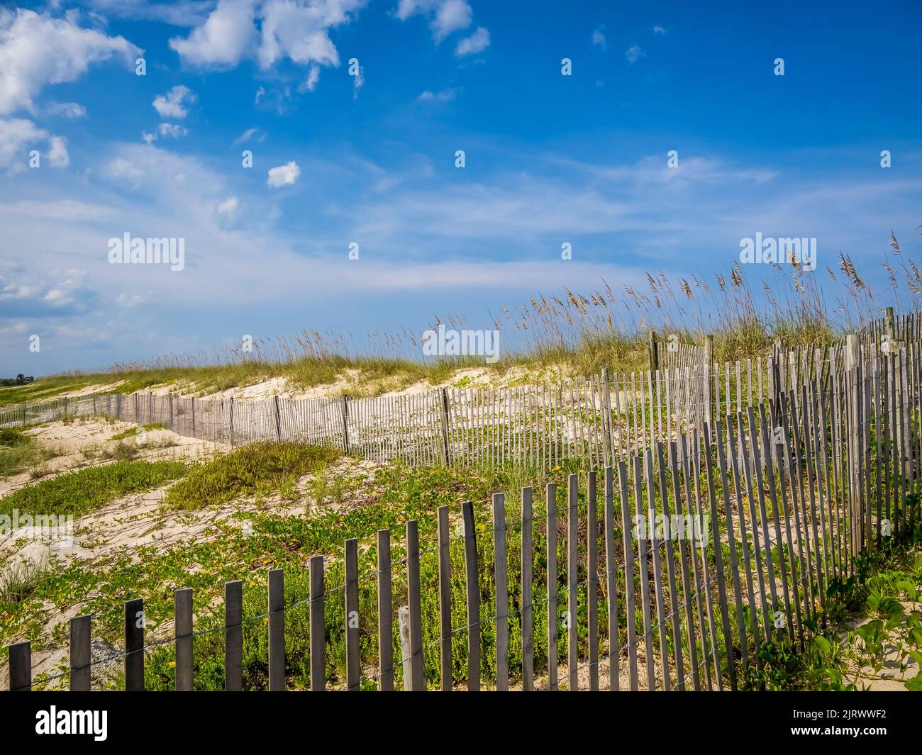 Snow fence in sand dunes on the Atlantic Ocean beach in Washington Oaks ...
