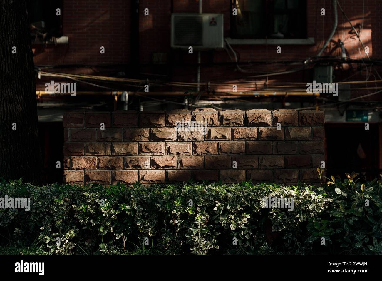 A Side of a building made of brick walls behind short green bushes ...