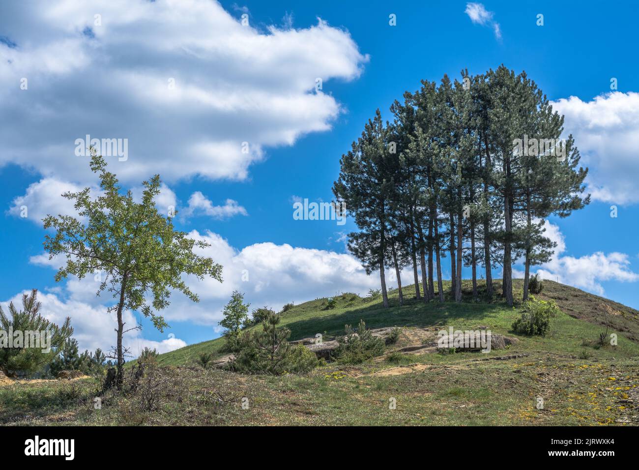 Beautiful maceodnia nature hi-res stock photography and images - Alamy