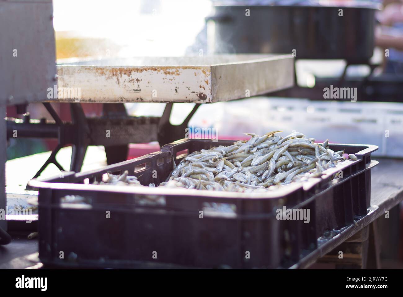 Box full of fresh sardines in Zadar, Croatia Stock Photo - Alamy