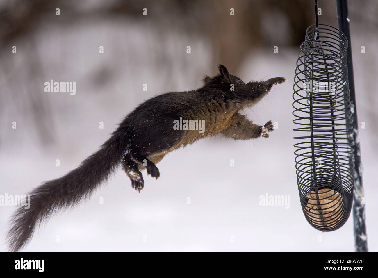 nature at work Stock Photo - Alamy