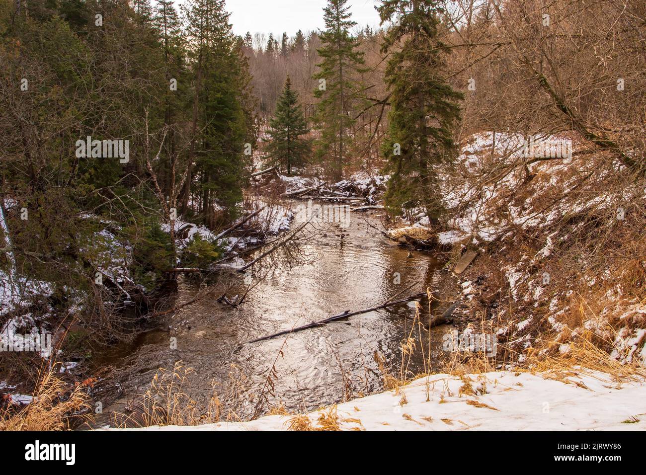 nature at work Stock Photo - Alamy