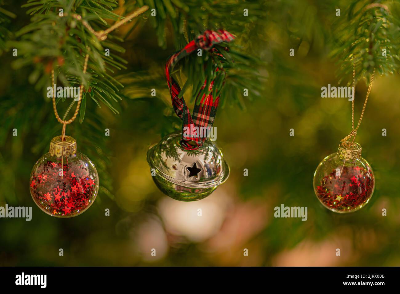 Branch stock photo hi-res stock photography and images - Alamy