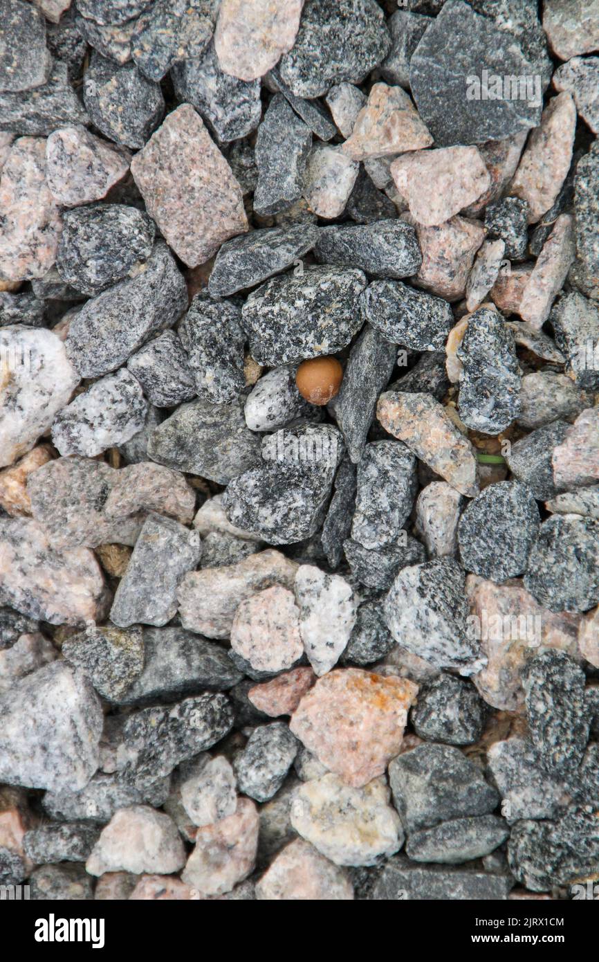 Stones texture for canvas background, widely used in works in Brazil ...