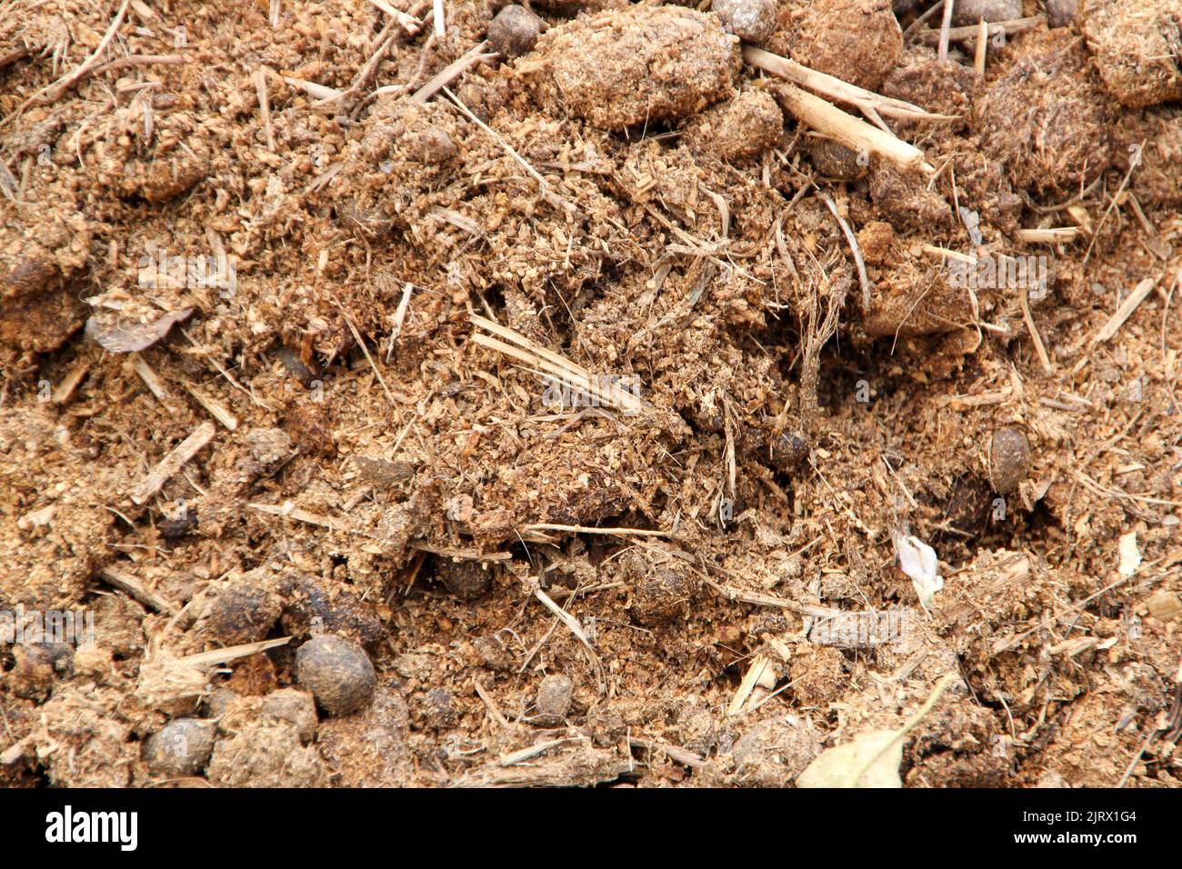 sand texture with stones for canvas background in brazil Stock Photo ...