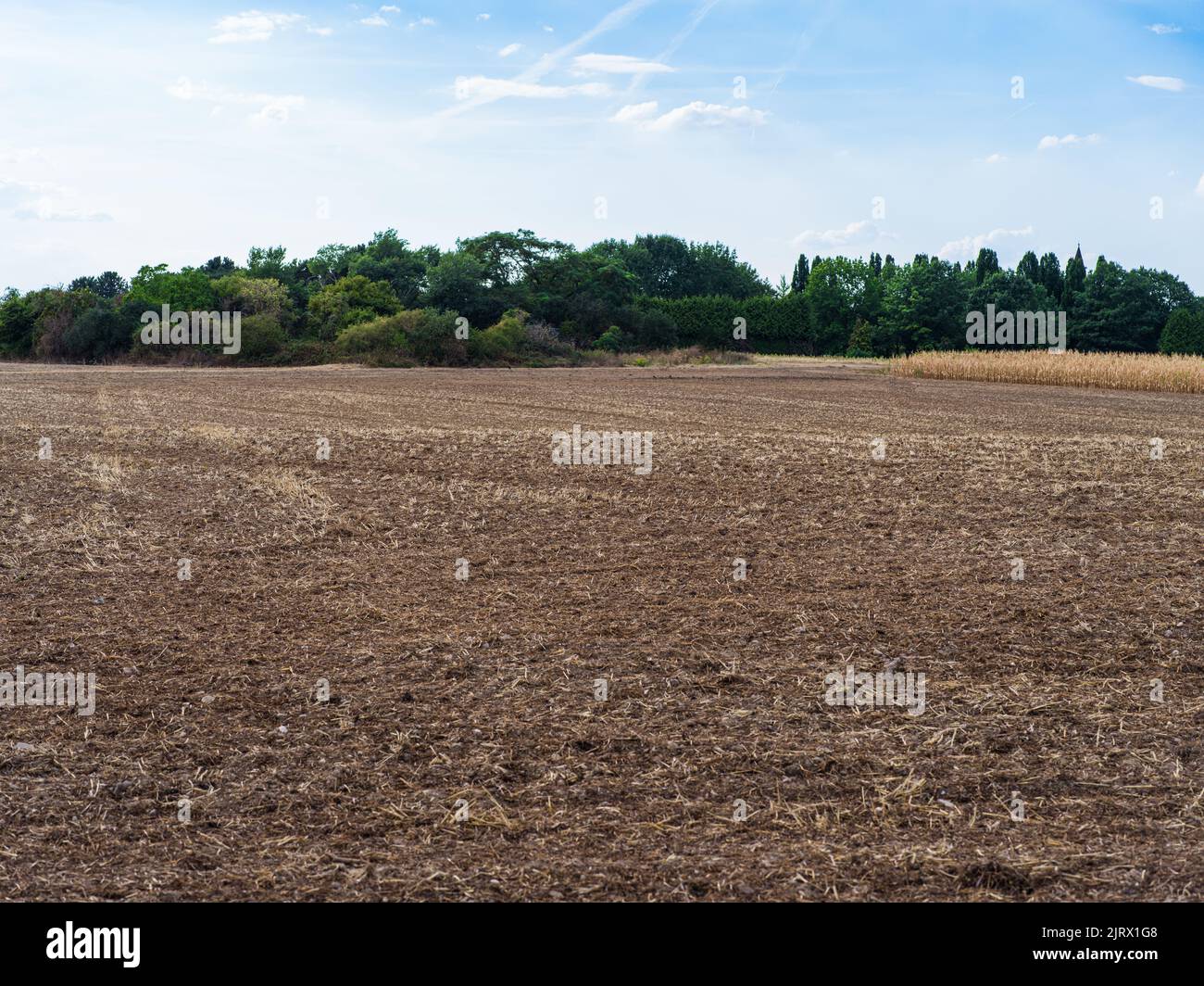 Cultivation grove hi-res stock photography and images - Alamy