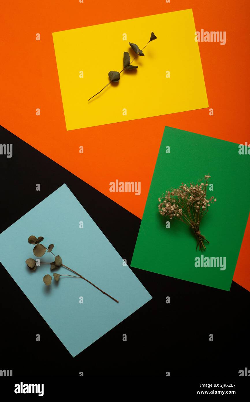 Abstract background of sheets of colored paper with branches of flowers ...