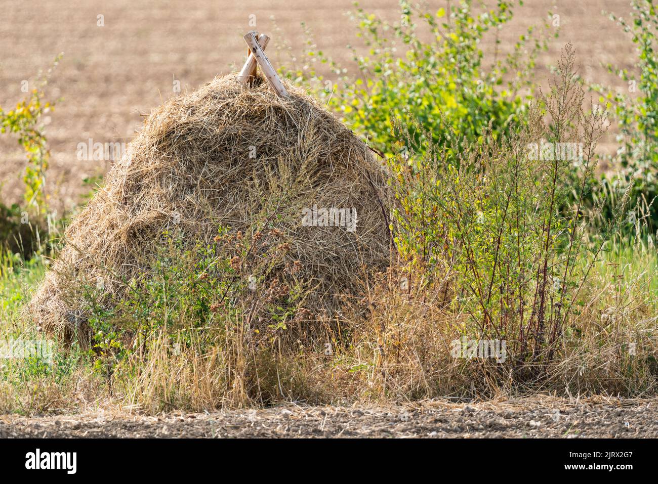 Straw pyramid hi-res stock photography and images - Alamy
