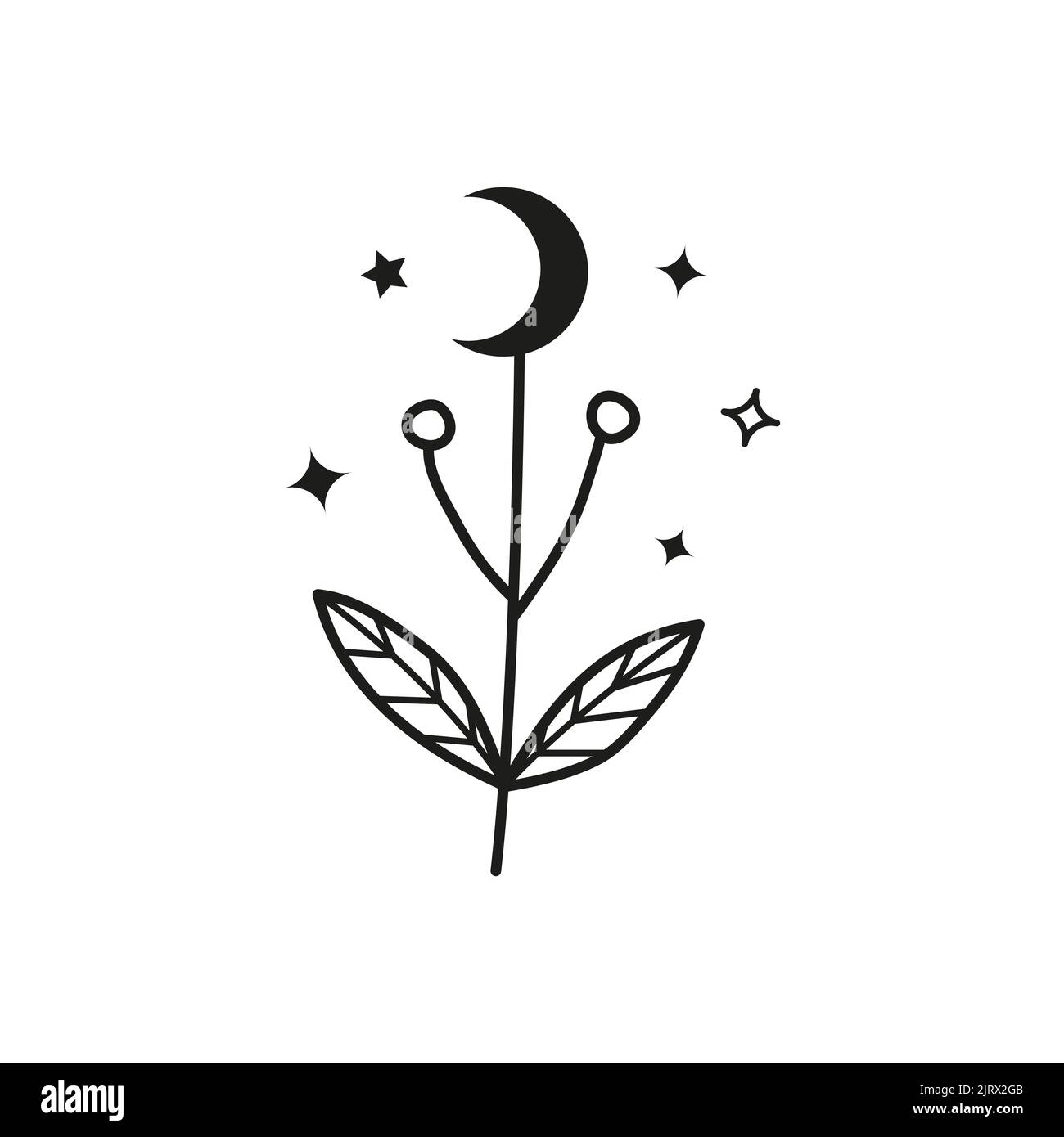 Black Celestial Moon Flower With Stars Around Isolated On White Background Boho Botanical