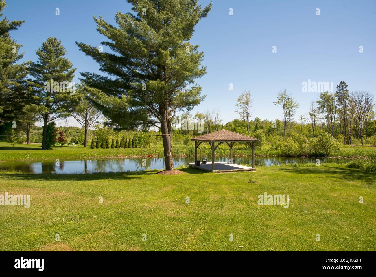 nature at work Stock Photo - Alamy