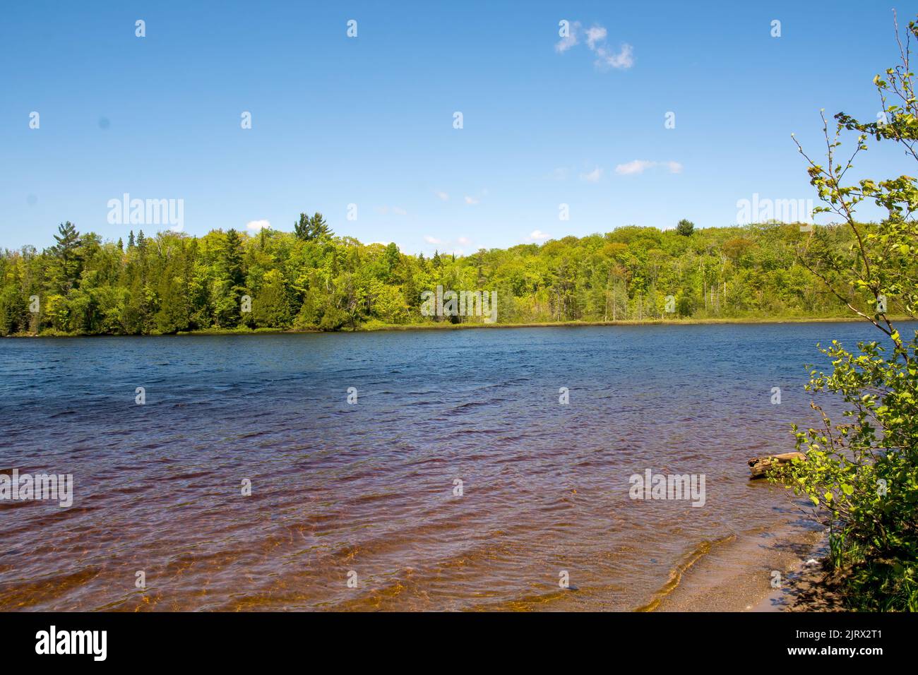 nature at work Stock Photo - Alamy