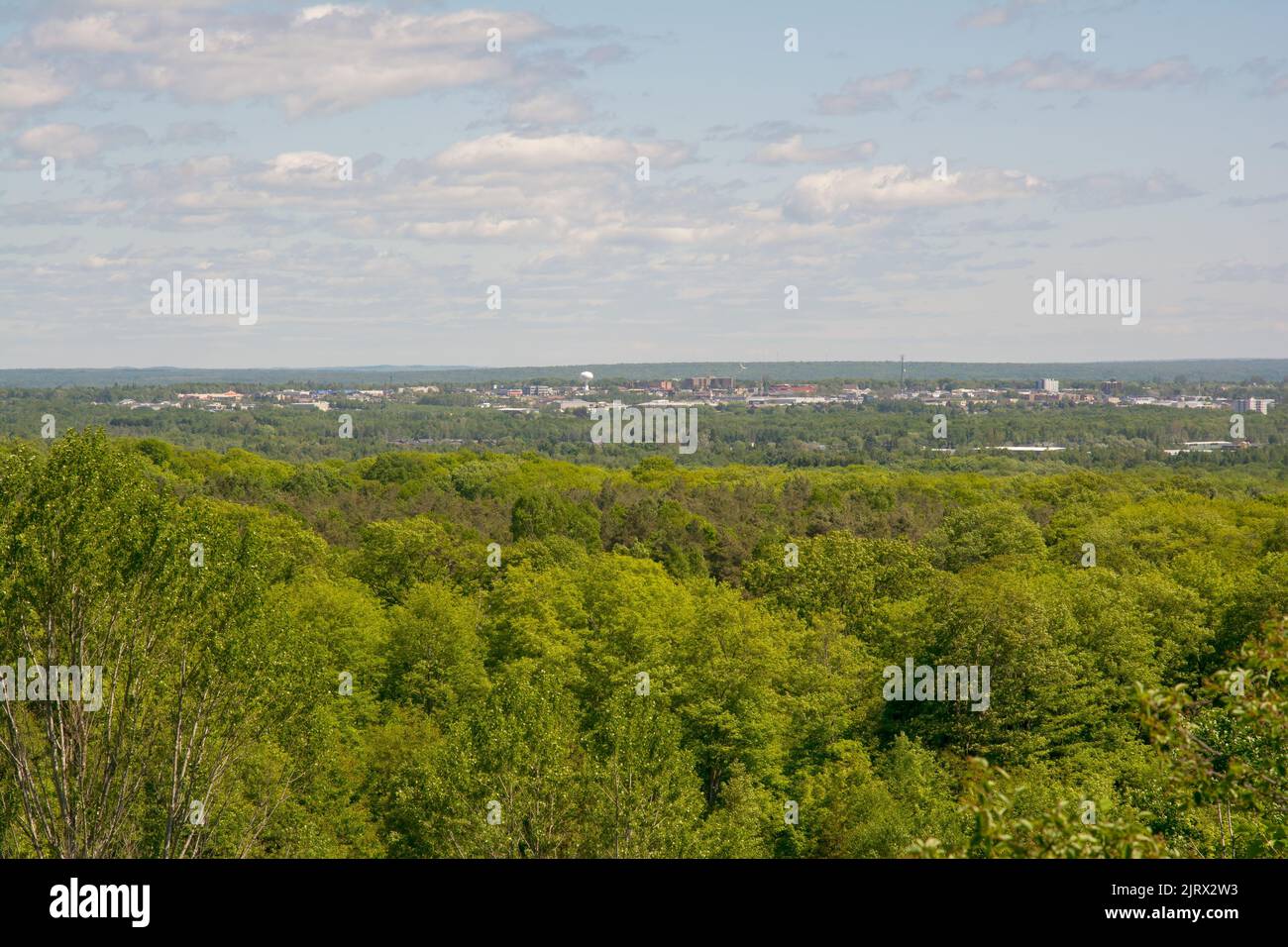 nature at work Stock Photo - Alamy