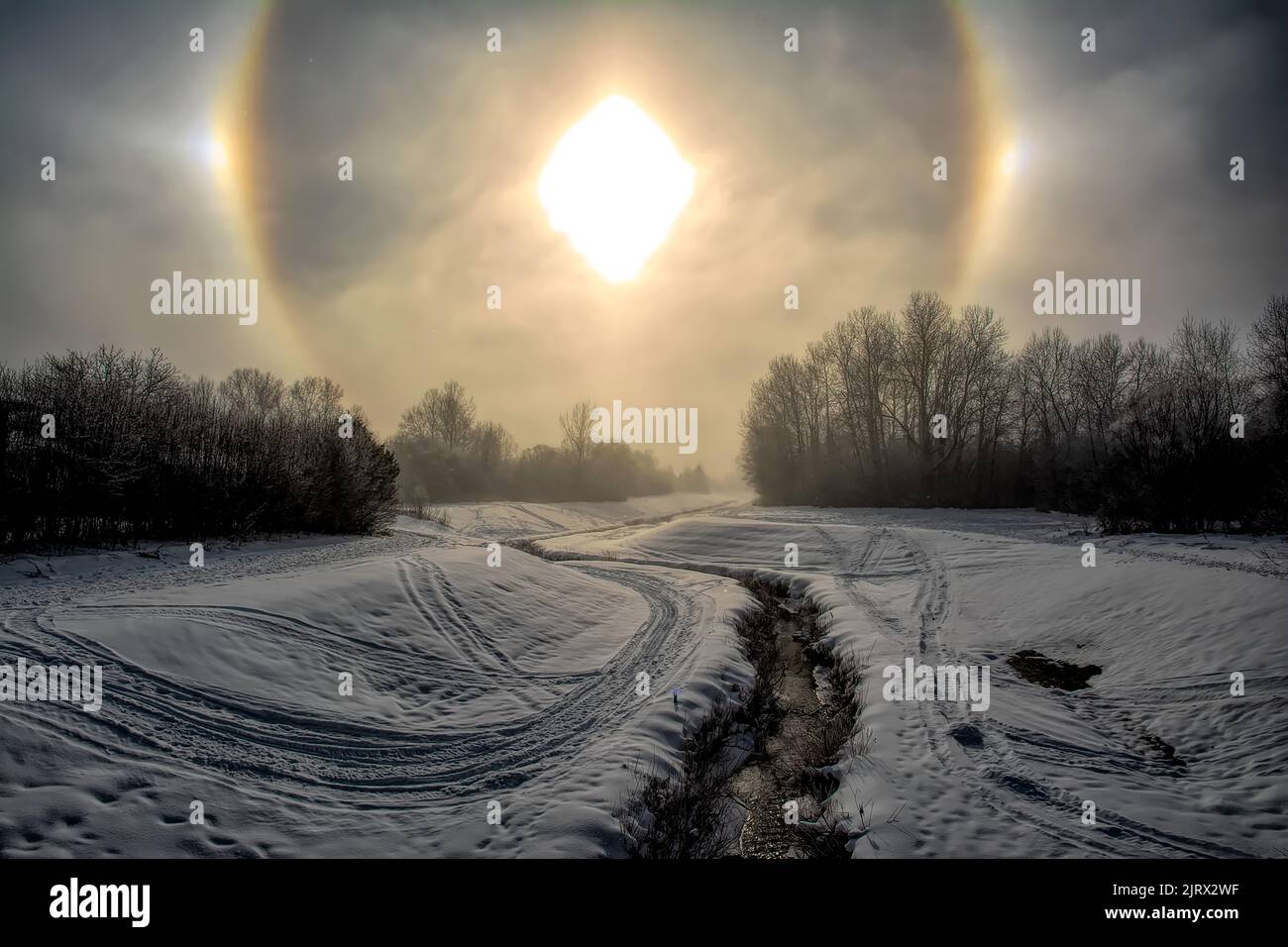 nature at work Stock Photo - Alamy