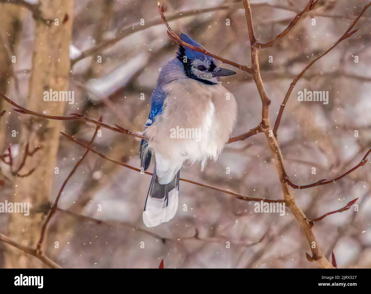 nature at work Stock Photo - Alamy