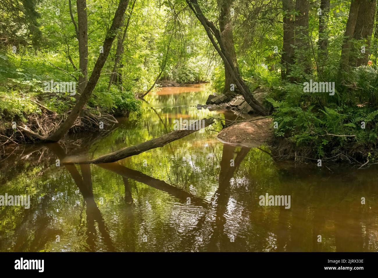 nature at work Stock Photo - Alamy