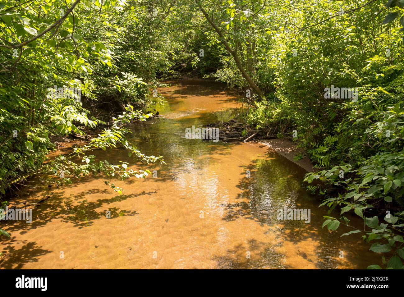nature at work Stock Photo - Alamy