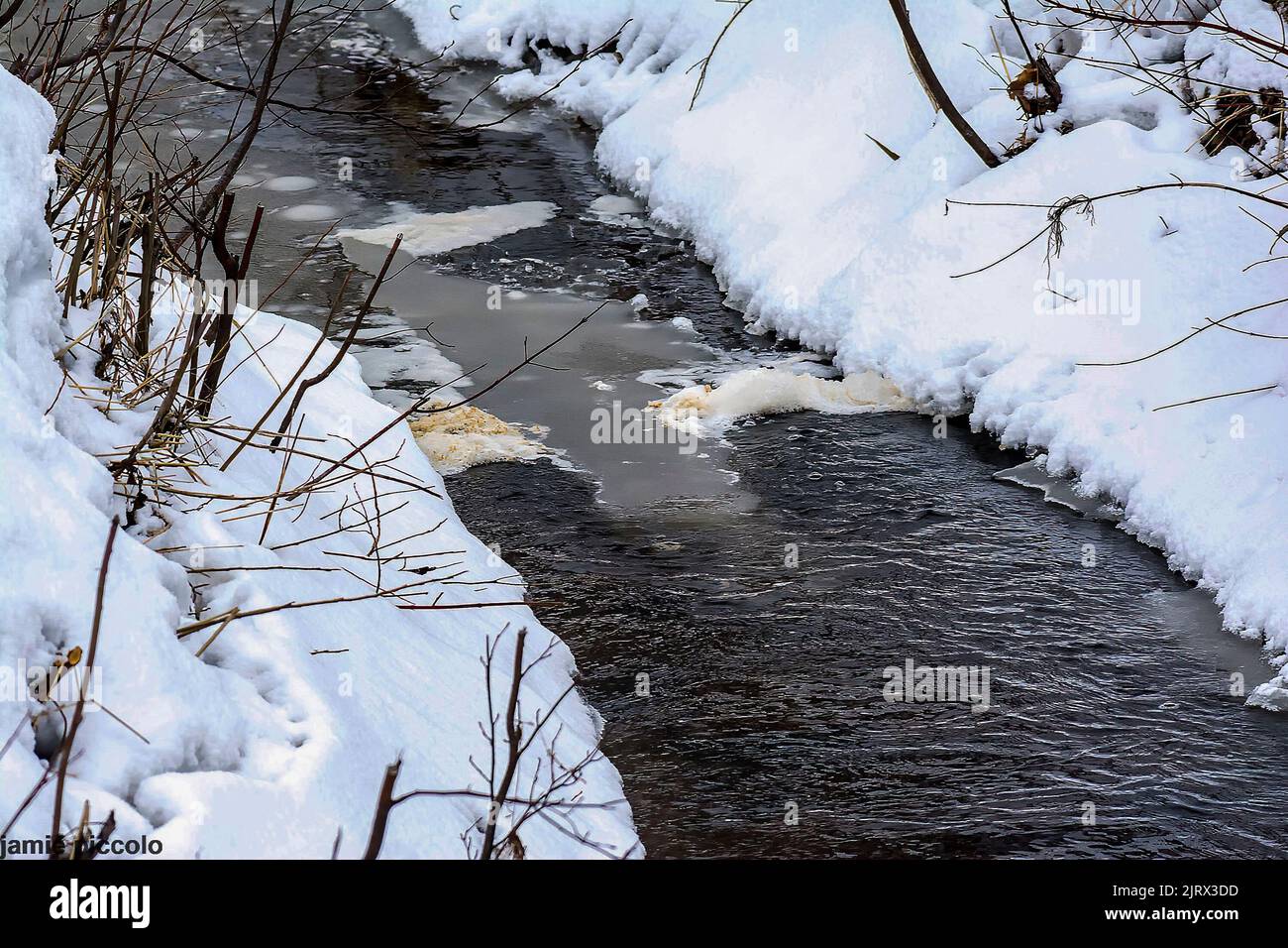 nature at work Stock Photo - Alamy