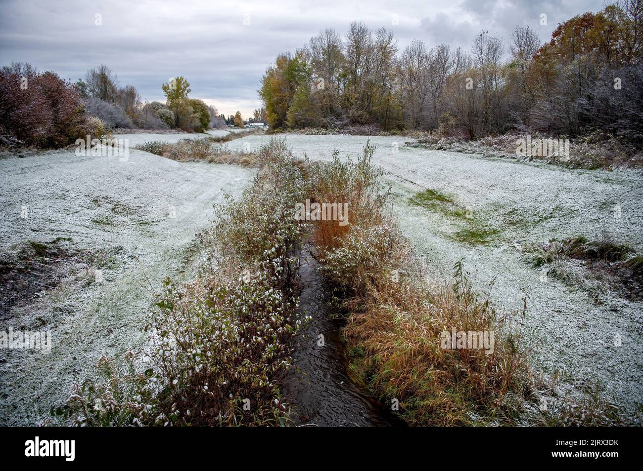 nature at work Stock Photo - Alamy