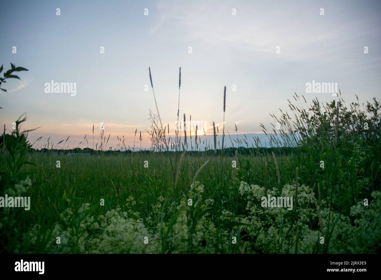 nature at work Stock Photo - Alamy