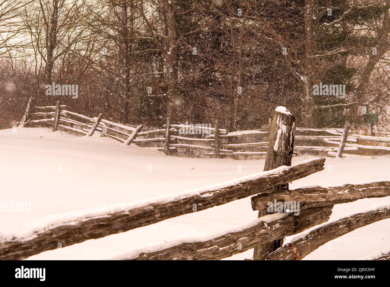 nature at work Stock Photo - Alamy