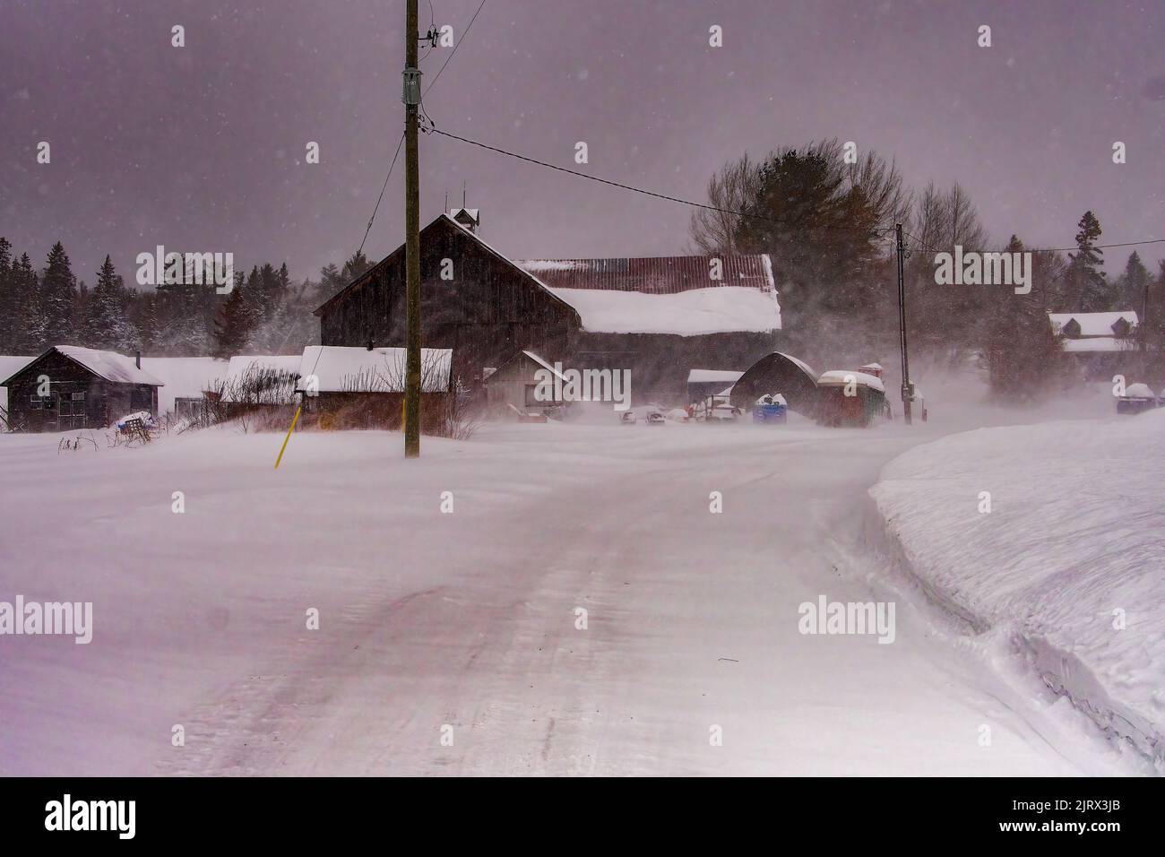 nature at work Stock Photo - Alamy