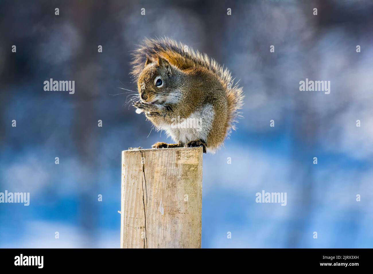 nature at work Stock Photo - Alamy