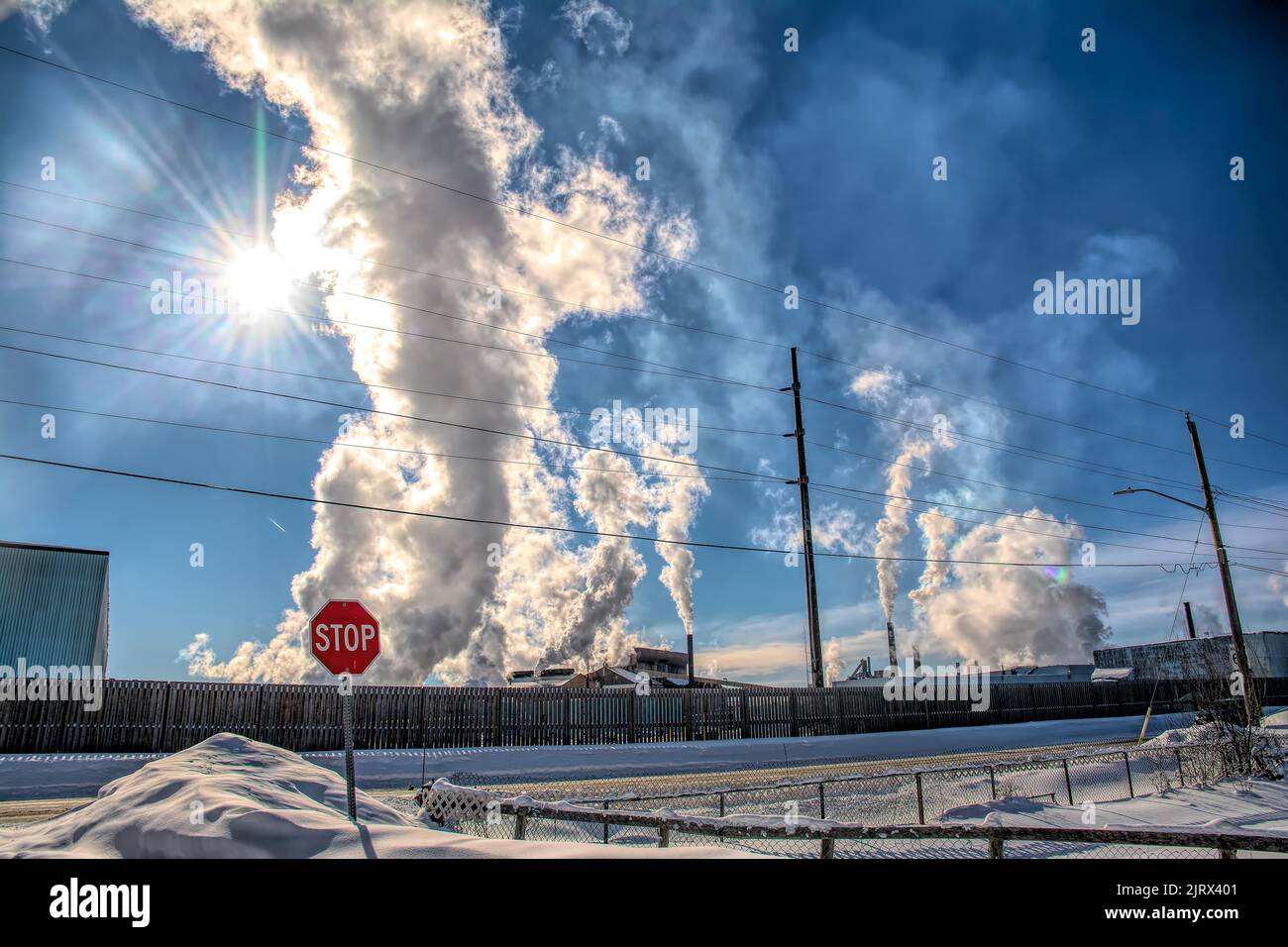 nature at work Stock Photo - Alamy