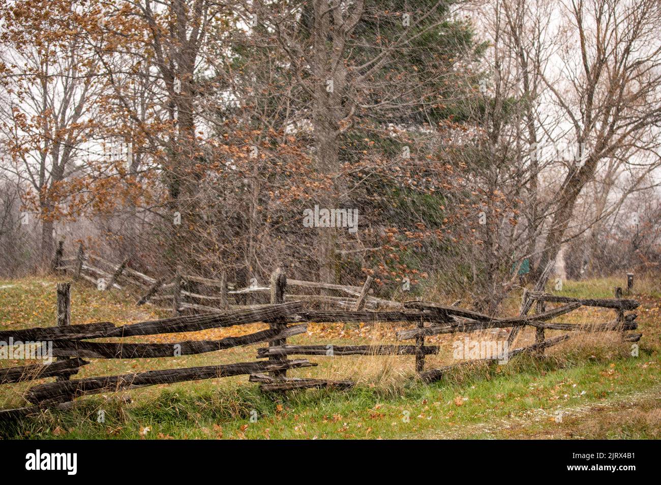 nature at work Stock Photo - Alamy