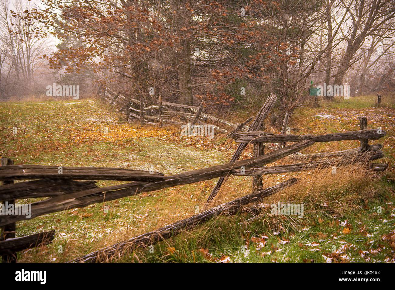 nature at work Stock Photo - Alamy
