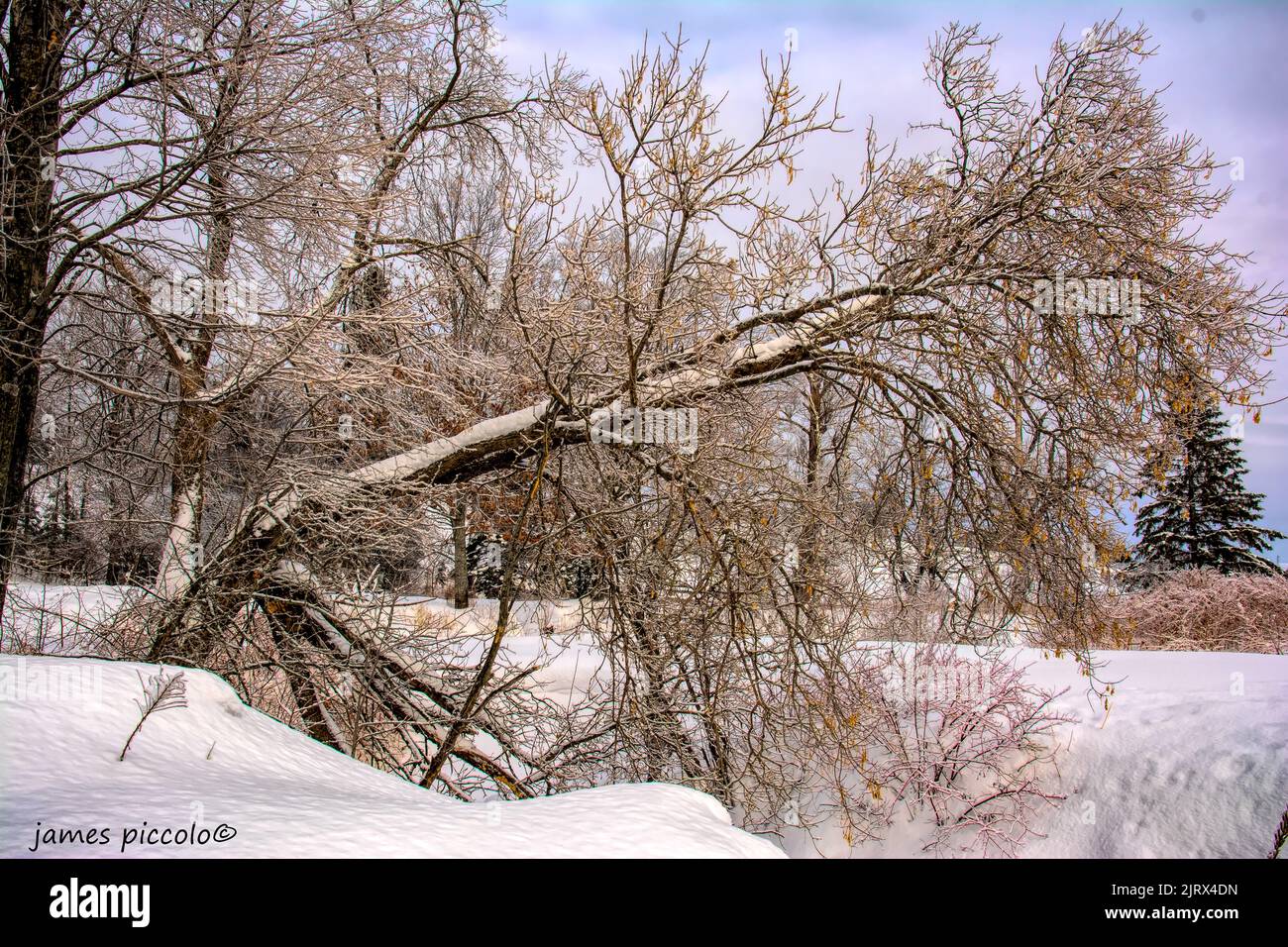 nature at work Stock Photo - Alamy