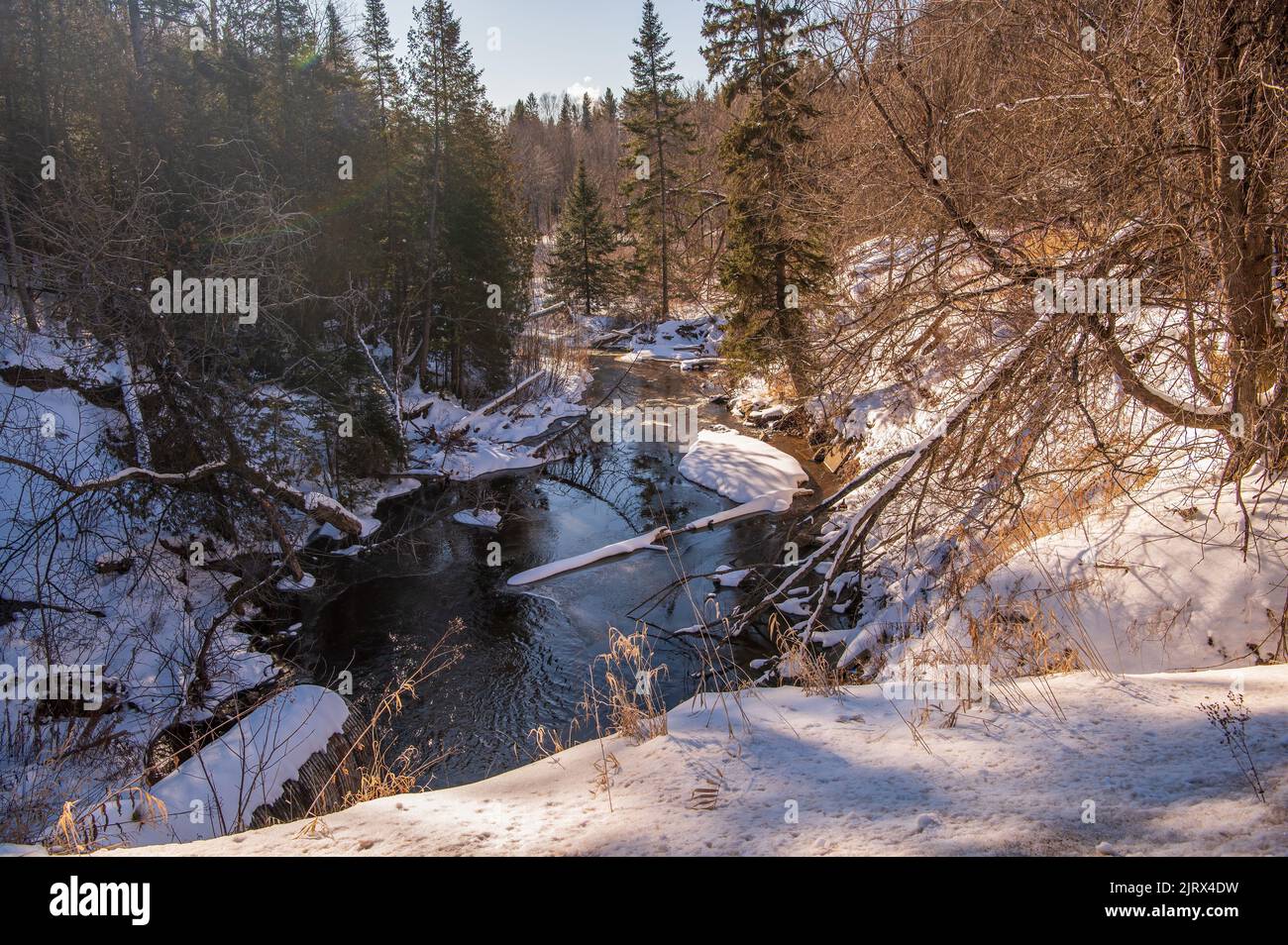 nature at work Stock Photo - Alamy