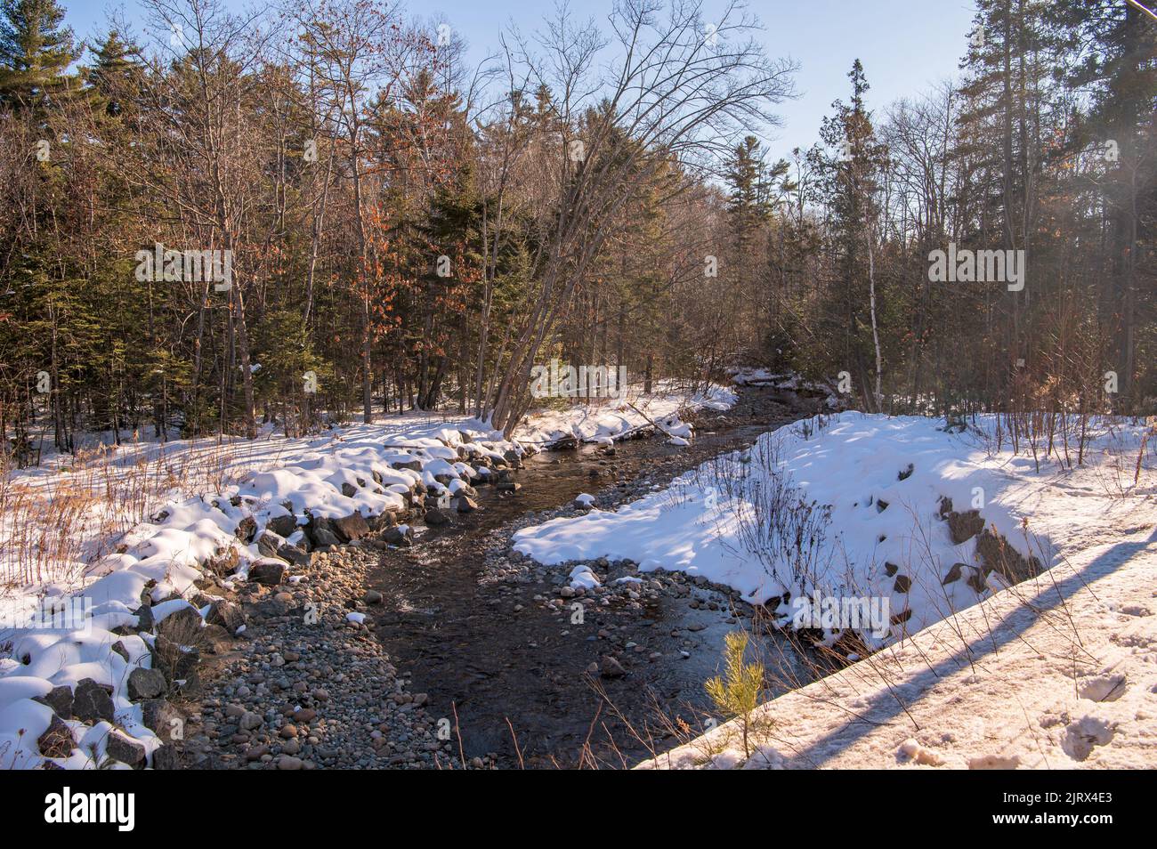 nature at work Stock Photo - Alamy