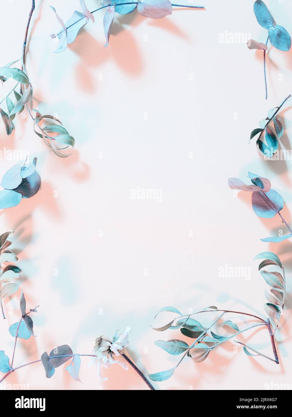 foliage inverted color design blue stem frame Stock Photo - Alamy
