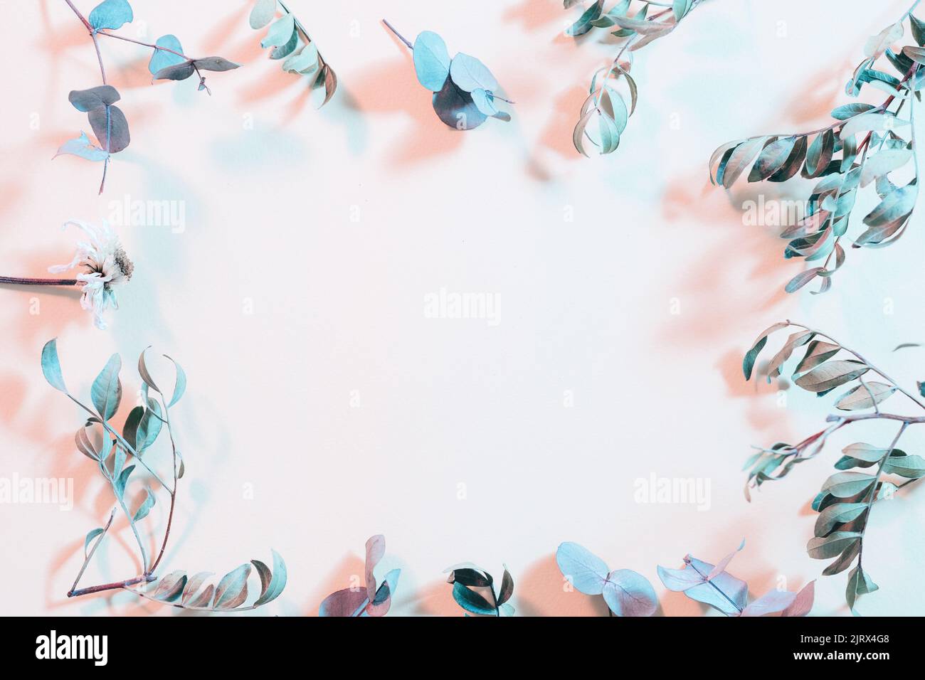 Modern foliage frame design hi-res stock photography and images - Alamy