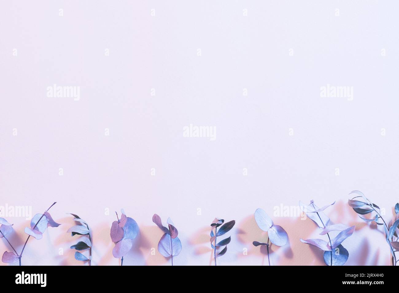 foliage pattern design inverted color purple stems Stock Photo - Alamy