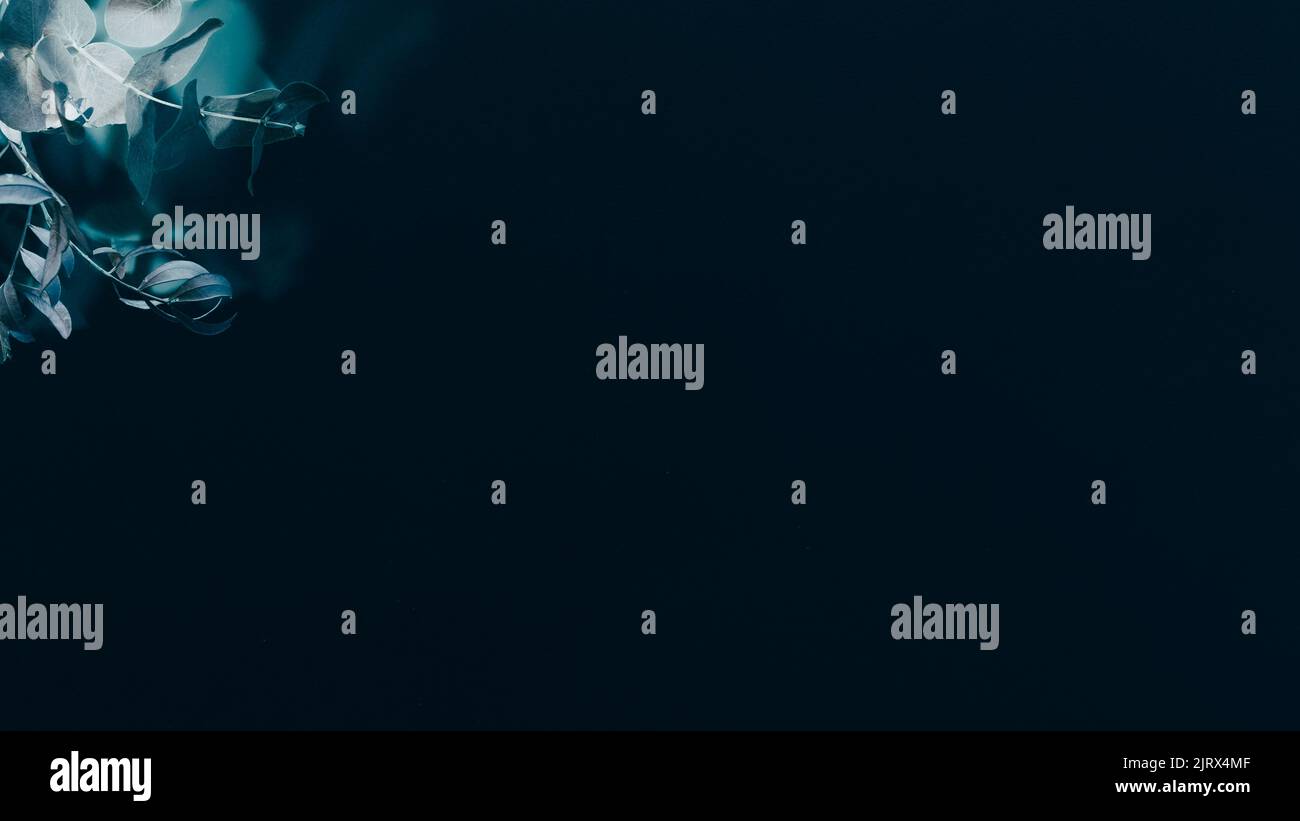 art minimalism black inverted color stem decor Stock Photo - Alamy