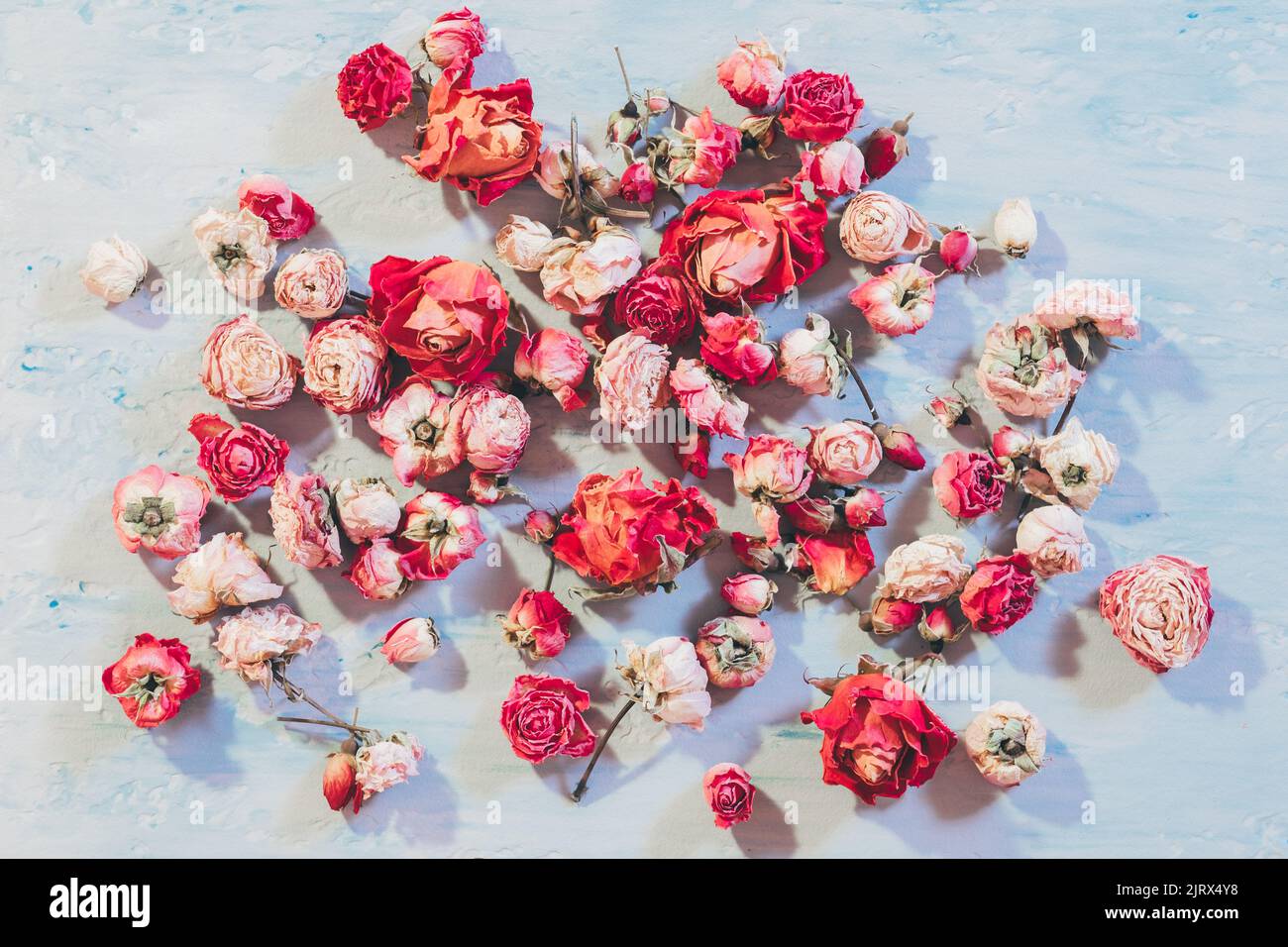 flower arranging floral art assorted dried rose Stock Photo - Alamy