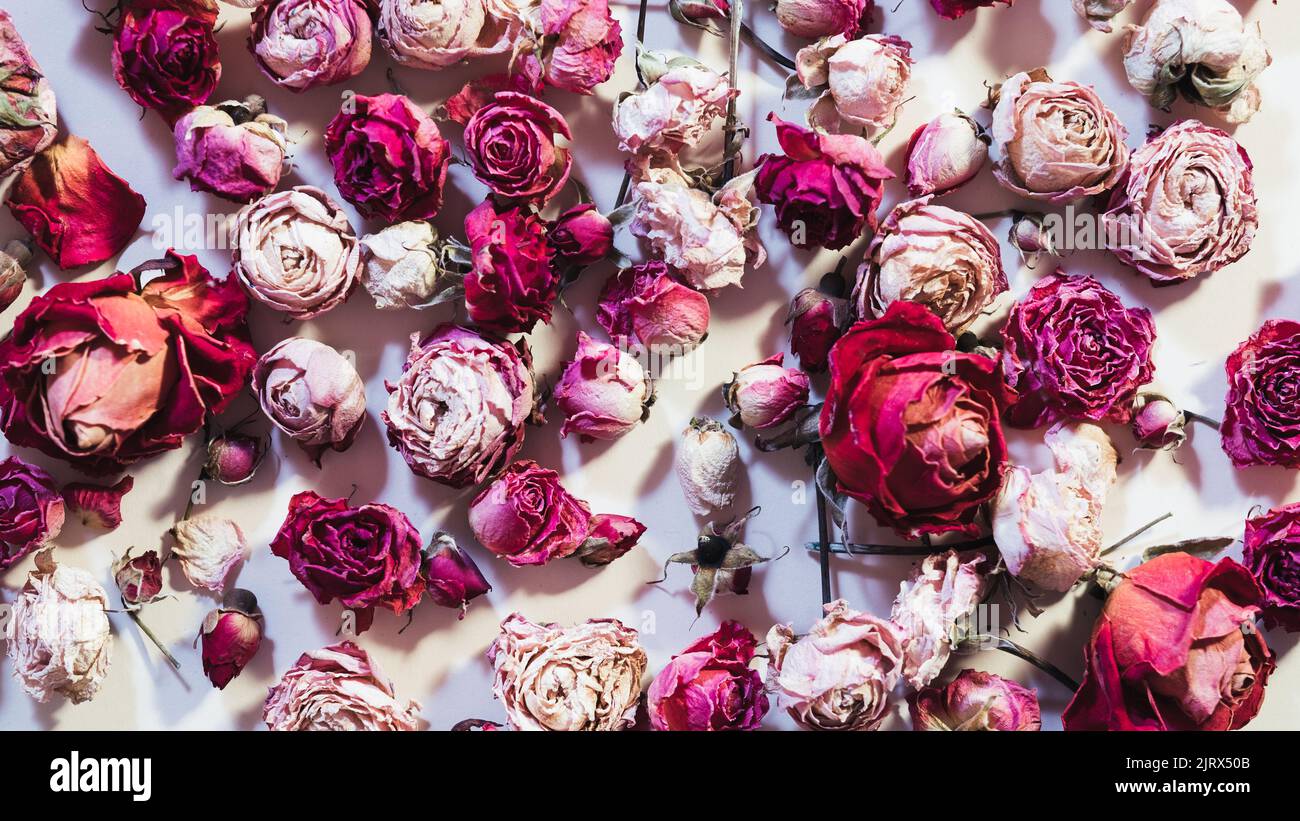 flower background floral composition dry rose head Stock Photo - Alamy