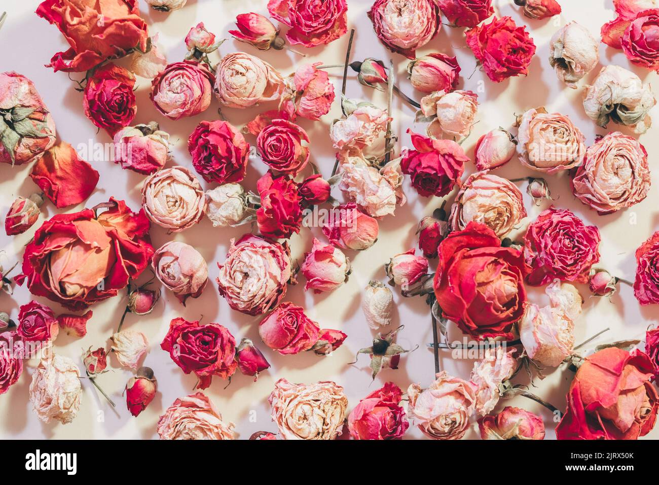 celebration flower background rose arrangement Stock Photo - Alamy