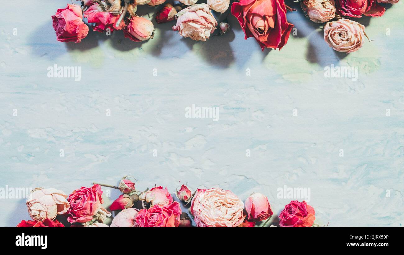 Greeting border hi-res stock photography and images - Alamy