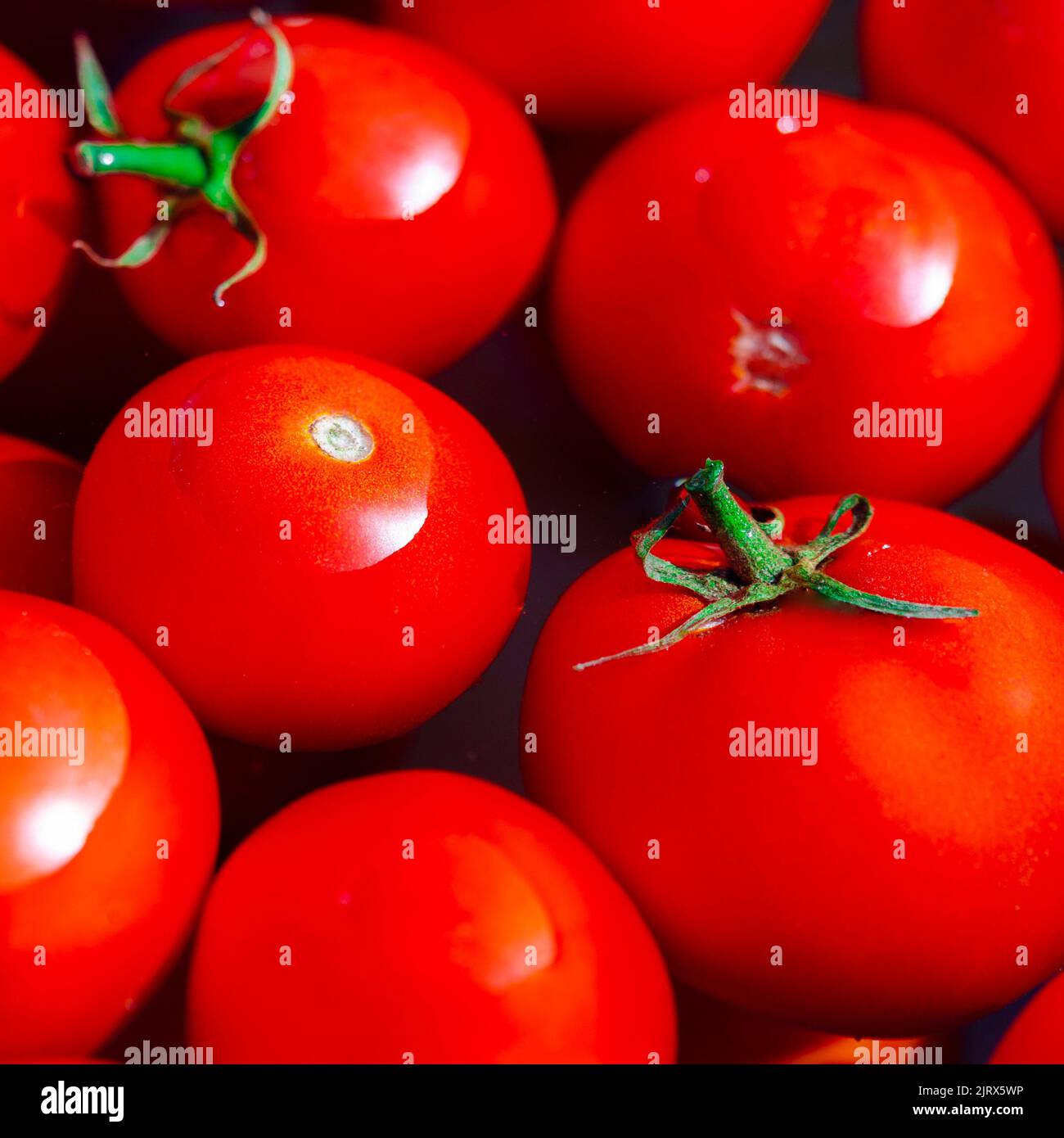 Round red tomatoes in a basin of water are ready for preservation Stock ...