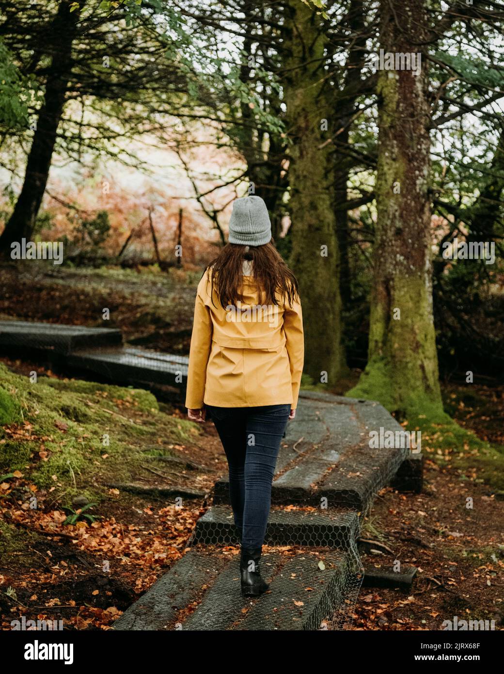 The vertical view of a woman from behind, walking on the pathway of a ...