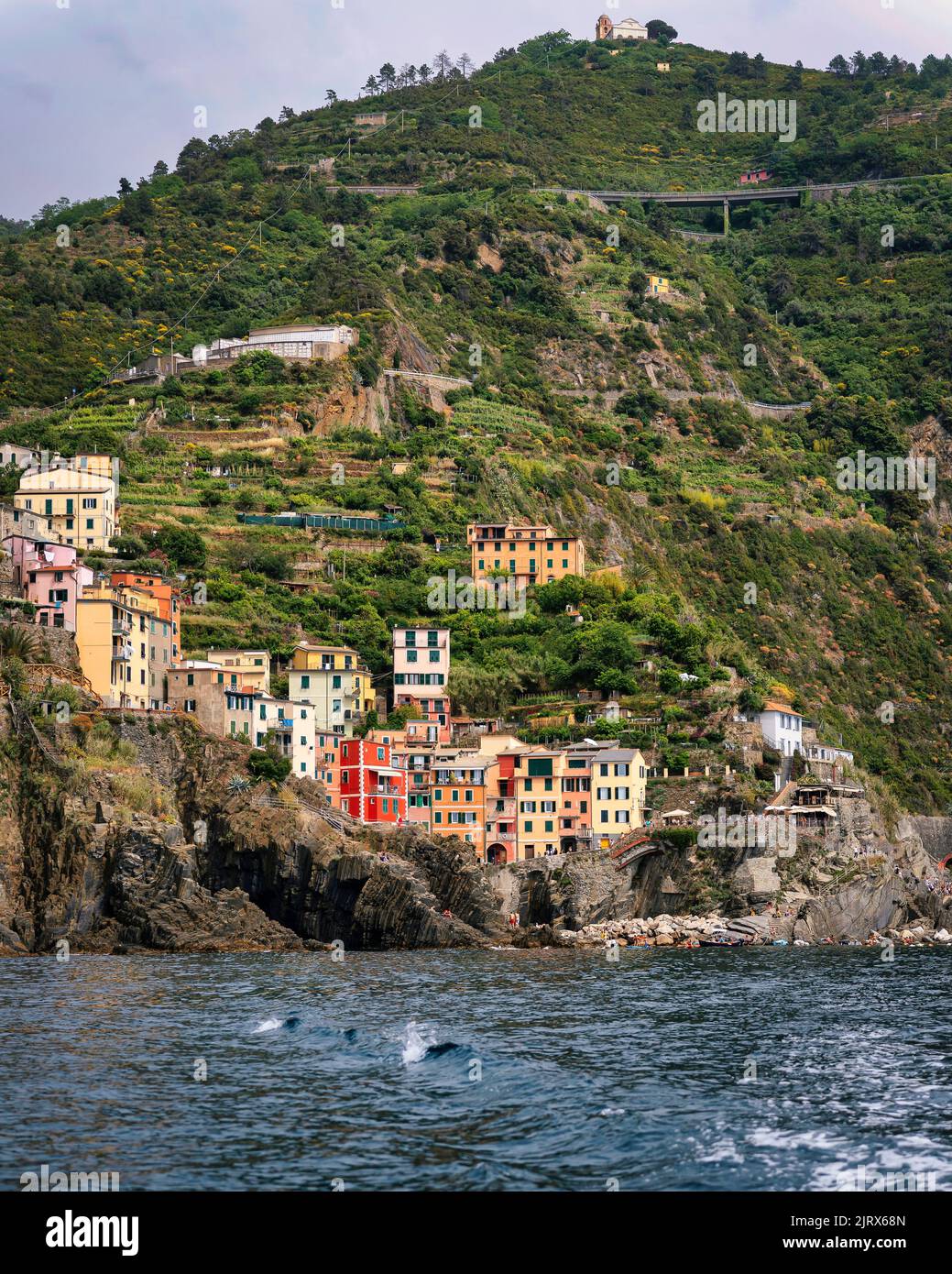 The vertical view of the seaside buildings On the green slope in Cinque ...