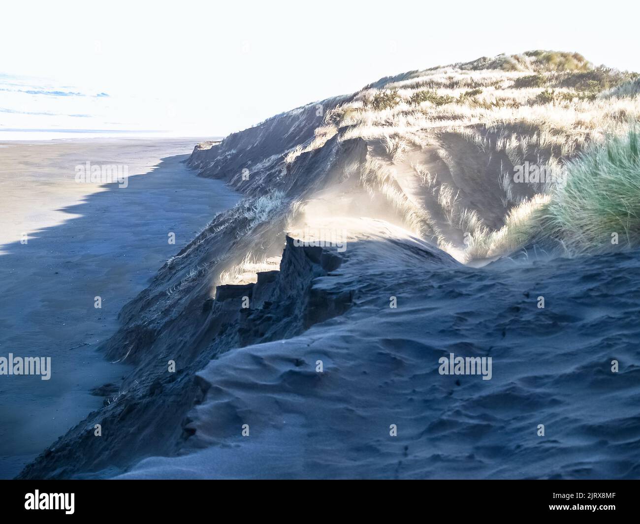 Windblown sand over beach and eroded dunes looking into sun on New ...