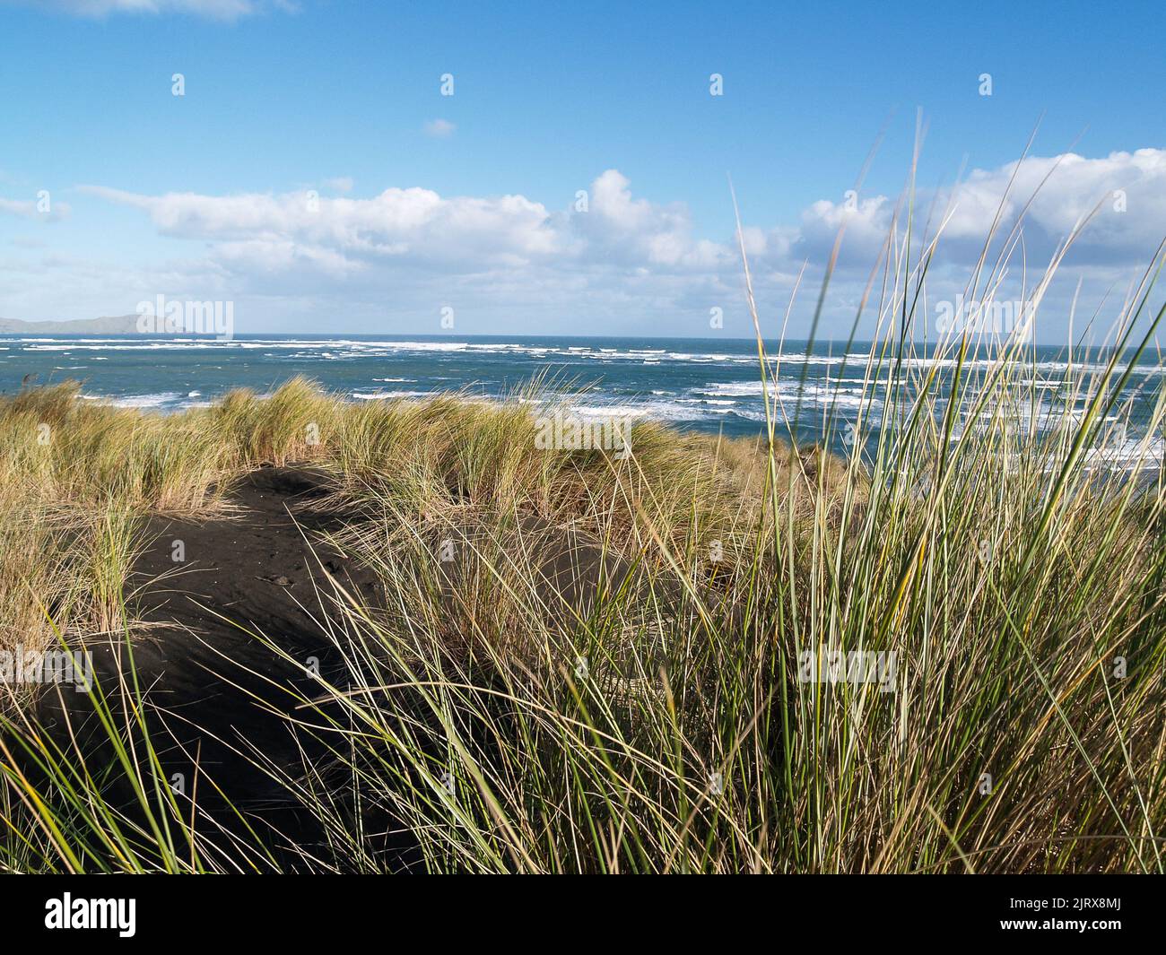 West Coast view over vegetation covered dunes and sea North Island New ...